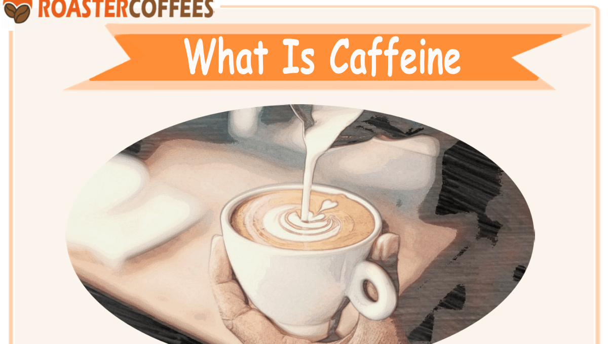 What Is Caffeine, And Is it Good For You? - ROASTER COFFEES